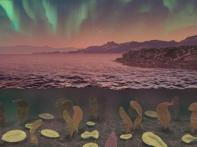 Over 500 million years ago, weird complex creatures emerged on Earth ...