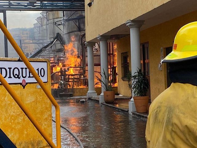 Explosion and fire at Jose Cuervo tequila factory kill six, Mexican ...