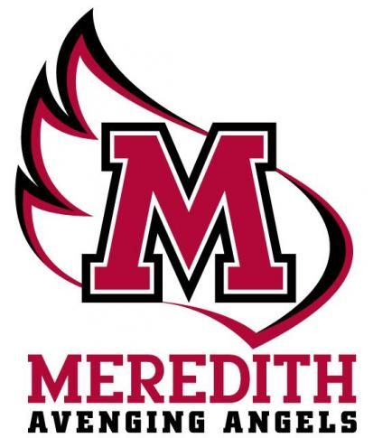 Meredith Angels Become Avengers