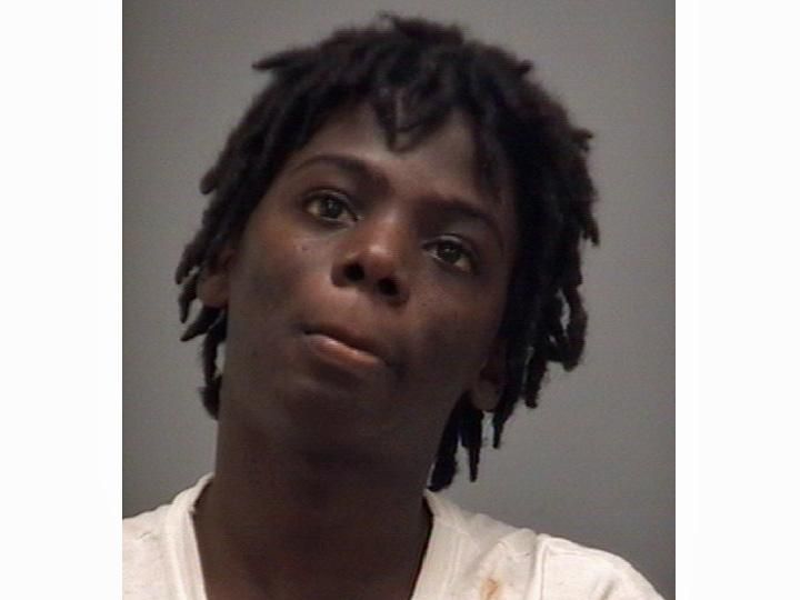 Driver charged after chase ends in Garner