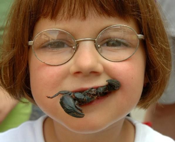 Raleigh festival makes national list of 'wacky' events