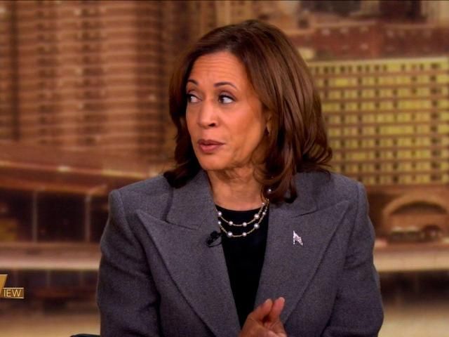 Harris says Trump’s putting politics over people with his hurricane ...