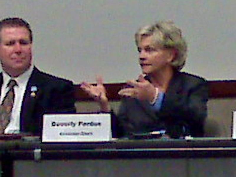 Perdue, local leaders meet on economic issues