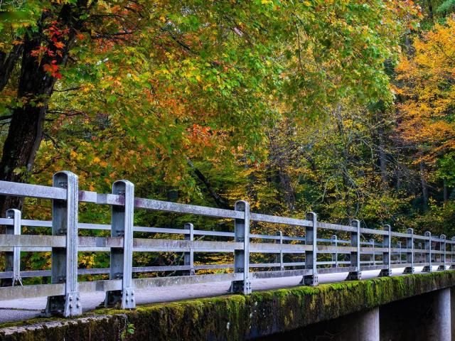 Fall color 2023: Here's when and where to see leaves change in NC