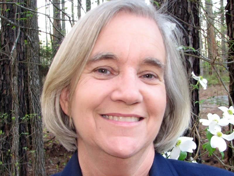 Gubernatorial candidate takes stand against marriage amendment
