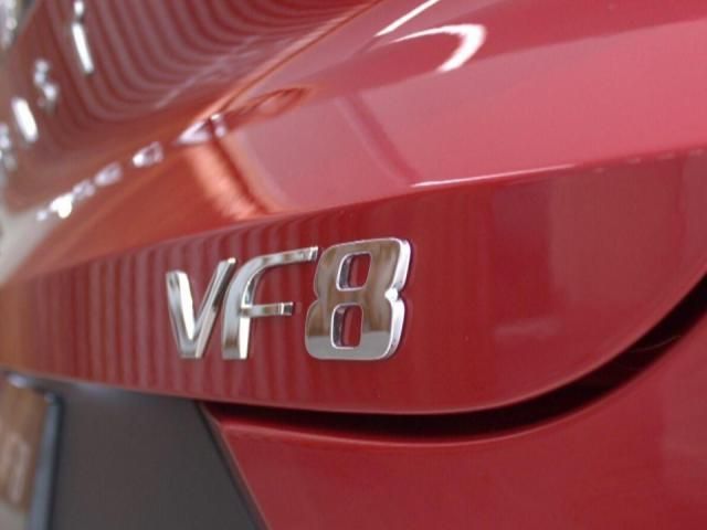 VinFast crash investigation: Owner complained about auto steering