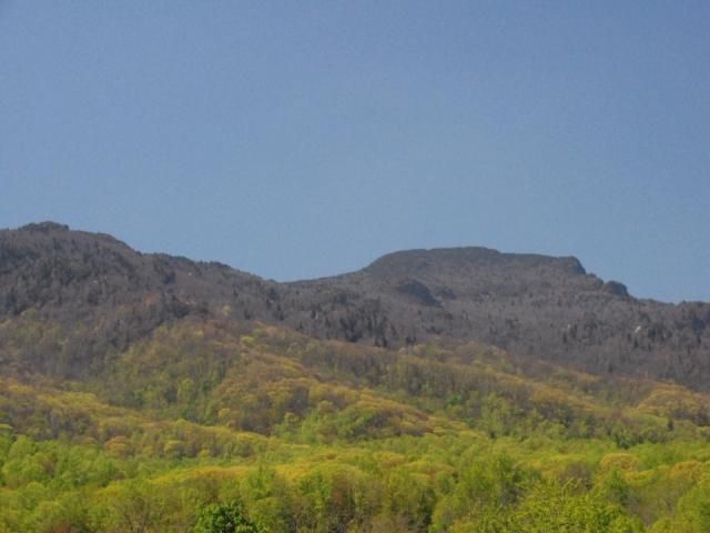 TOM EARNHARDT: No Silent Spring. Nature's symphony rehearses, we're ...