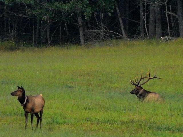 TOM EARNHARDT: Seeing opportunity in nature