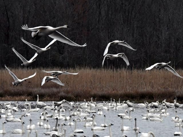 TOM EARNHARDT: We've come full circle. Nature's message is of hope