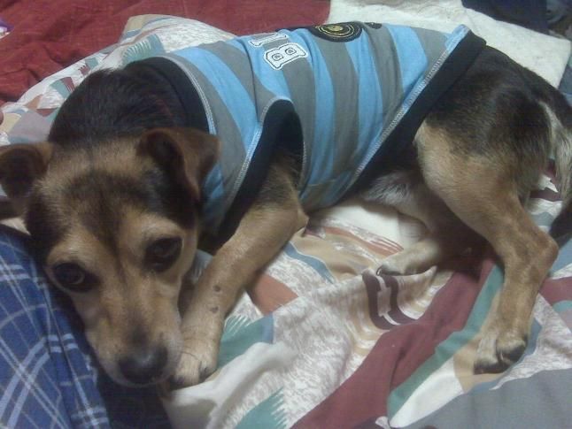 Sweet little boy Max