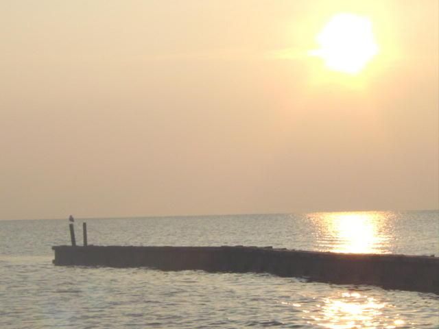 Man, dog go missing in Kill Devil Hills near Outer Banks