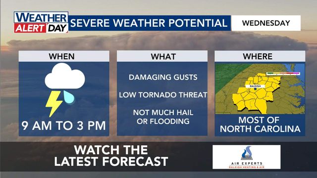 DAVID BROOKS: The six principles of stupidity