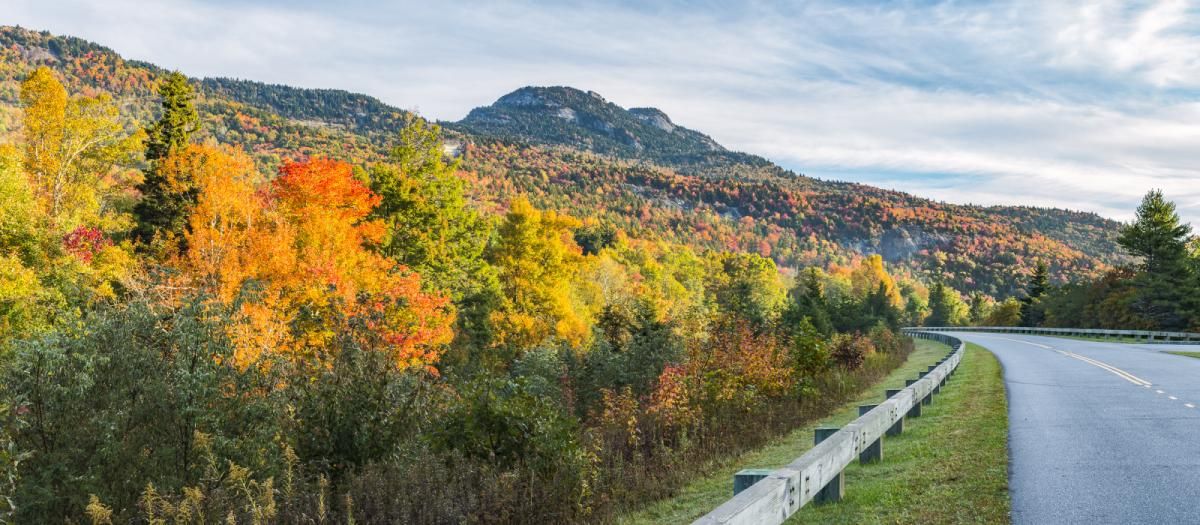 Autumn in two months: First foliage outlook released 🍁