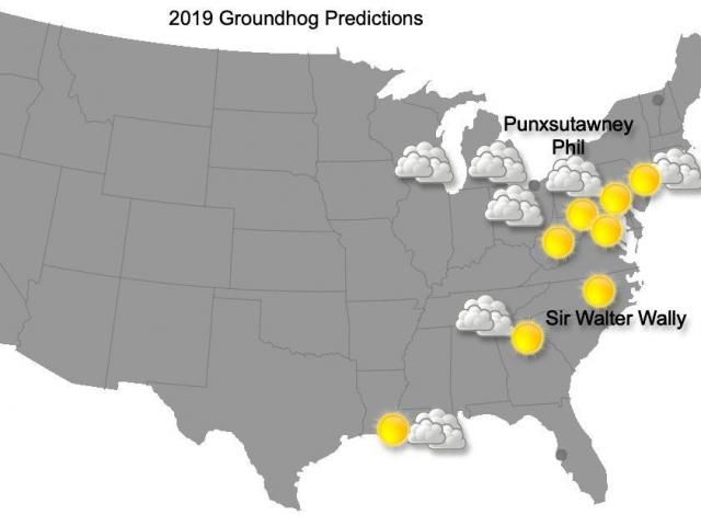 Groundhog Day: How accurate are the revealing rodents?