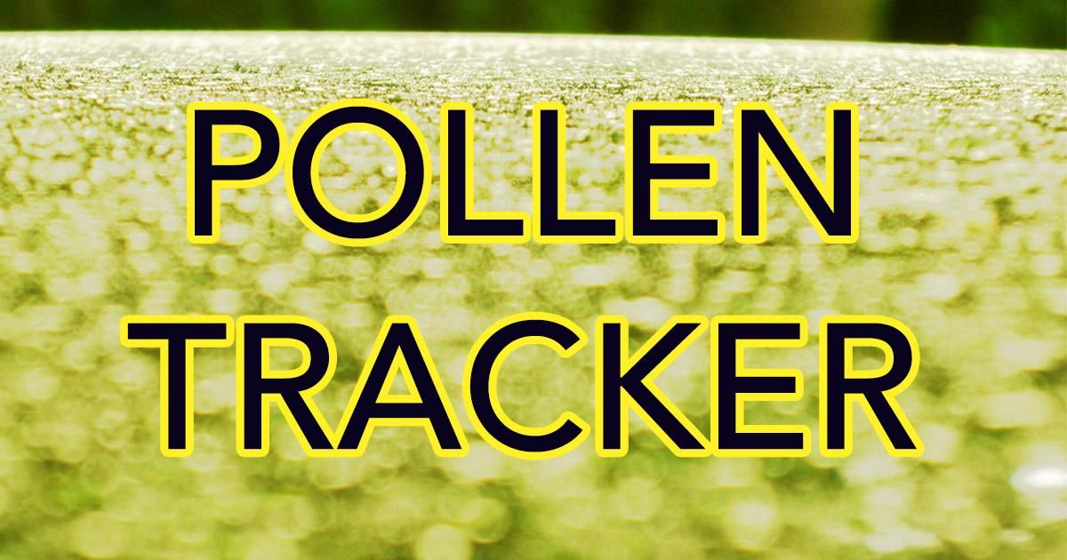 Pollen tracker: Monitor Raleigh's pollen count