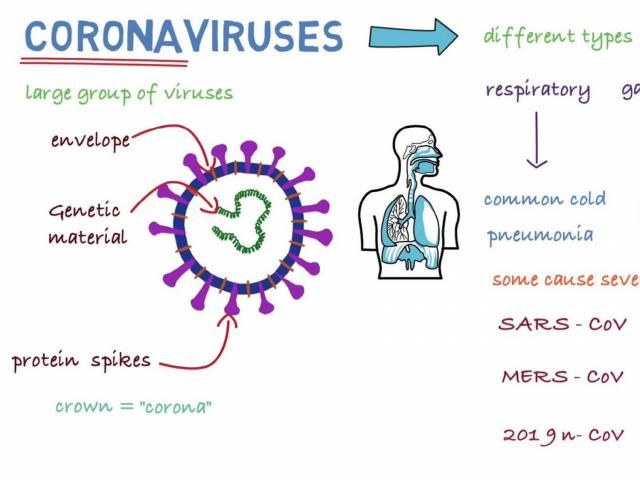 Free online COVID-19 classes taught by experts