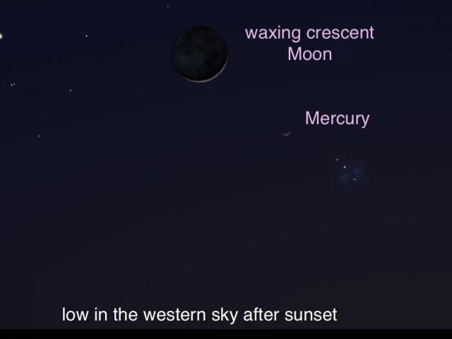 Look for Moon and Mercury early next week