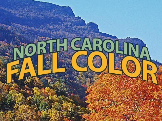 Fall colors in NC: Guide to foliage in Boone, Asheville, Grandfather ...