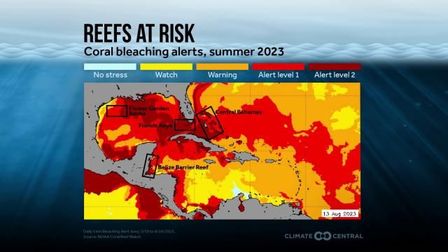 Record ocean heat and tropical impacts