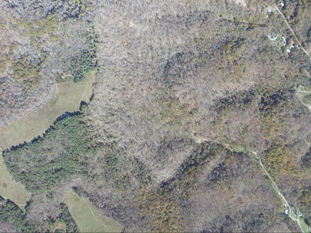 Wind damage from Helene could be worst since Fran and Hugo