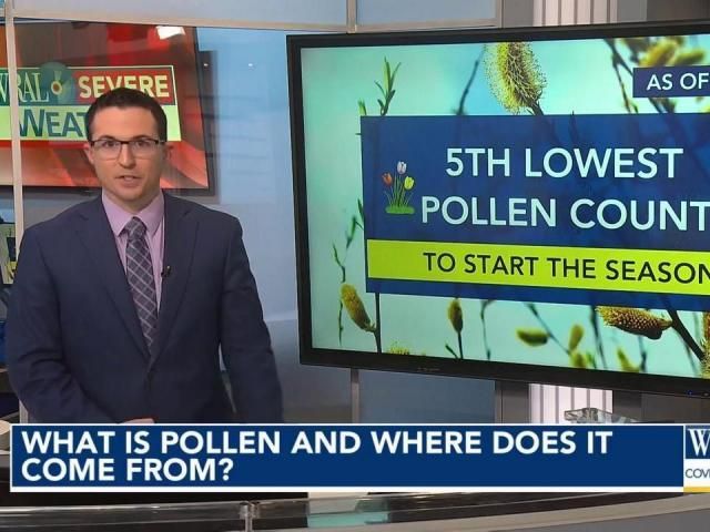 Ask the meteorologist: What is pollen?