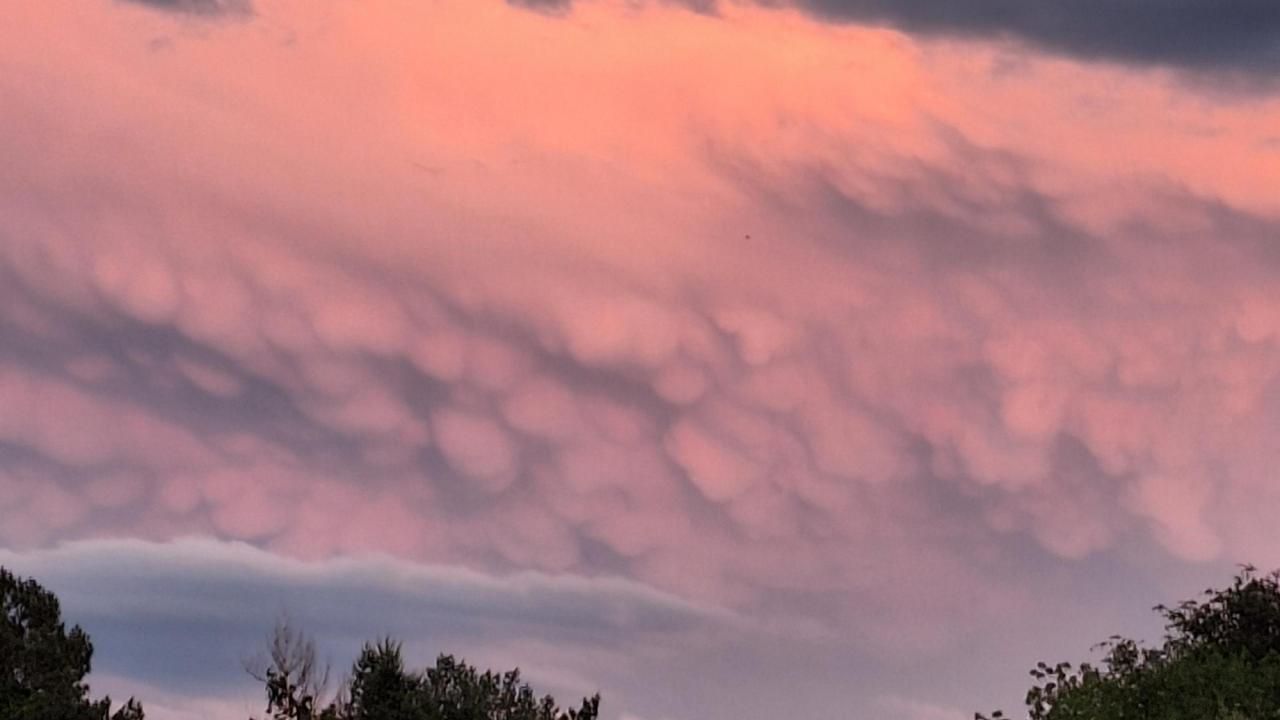 kumulus mamatus