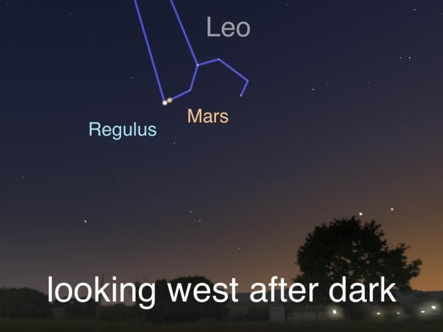 Look up this week for orangey Mars and blue Regulus
