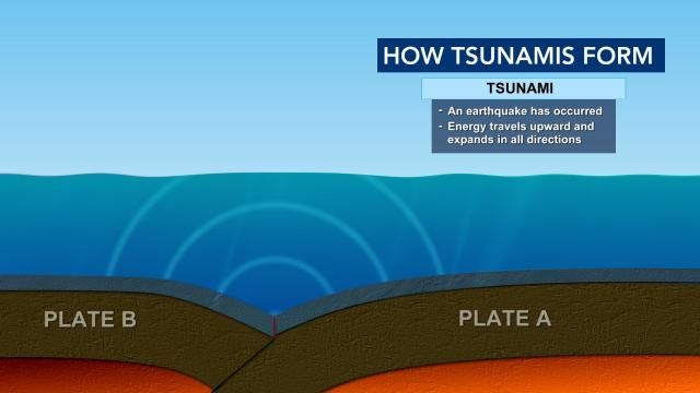 Ask the Meteorologist: How do tsunamis form?