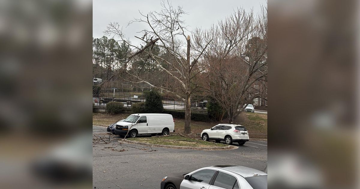 Strong winds brought down trees across Wake County :: WRAL.com