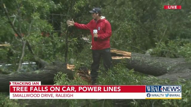 Fallen trees knock out power lines in Budleigh neighborhood in Raleigh