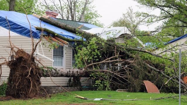 How to get help, stay safe and protect your sanity after a devastating ...