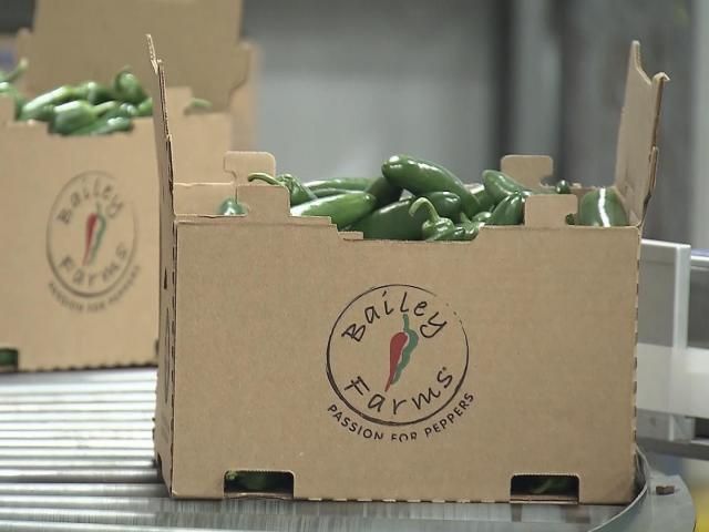 Tar Heel Traveler: Bailey Farms peppers