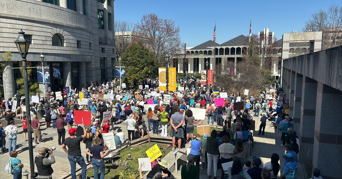 ‘Down with DOGE’ rally draws hundreds to downtown Raleigh, protesting ...