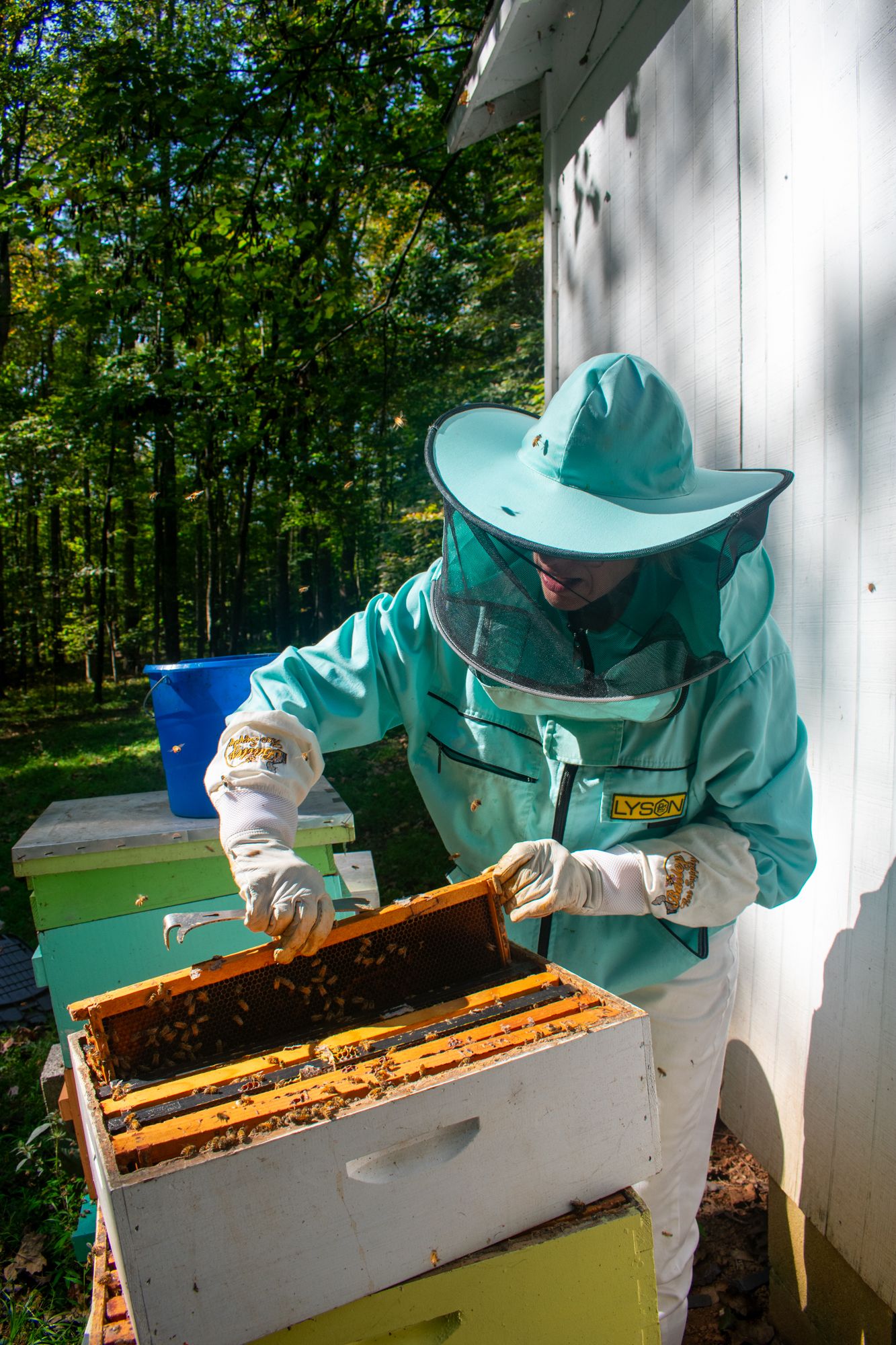 Bees, business and the people who keep them: North Carolina’s ...