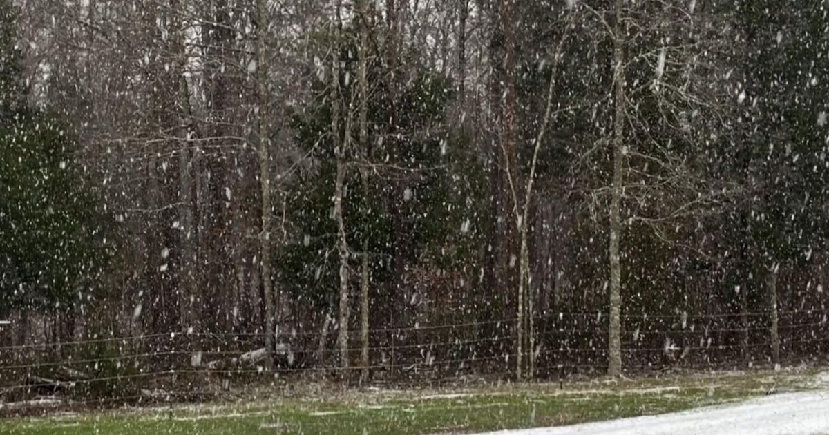 More mixed mess, less snow: How climate change is altering NC’s winter ...