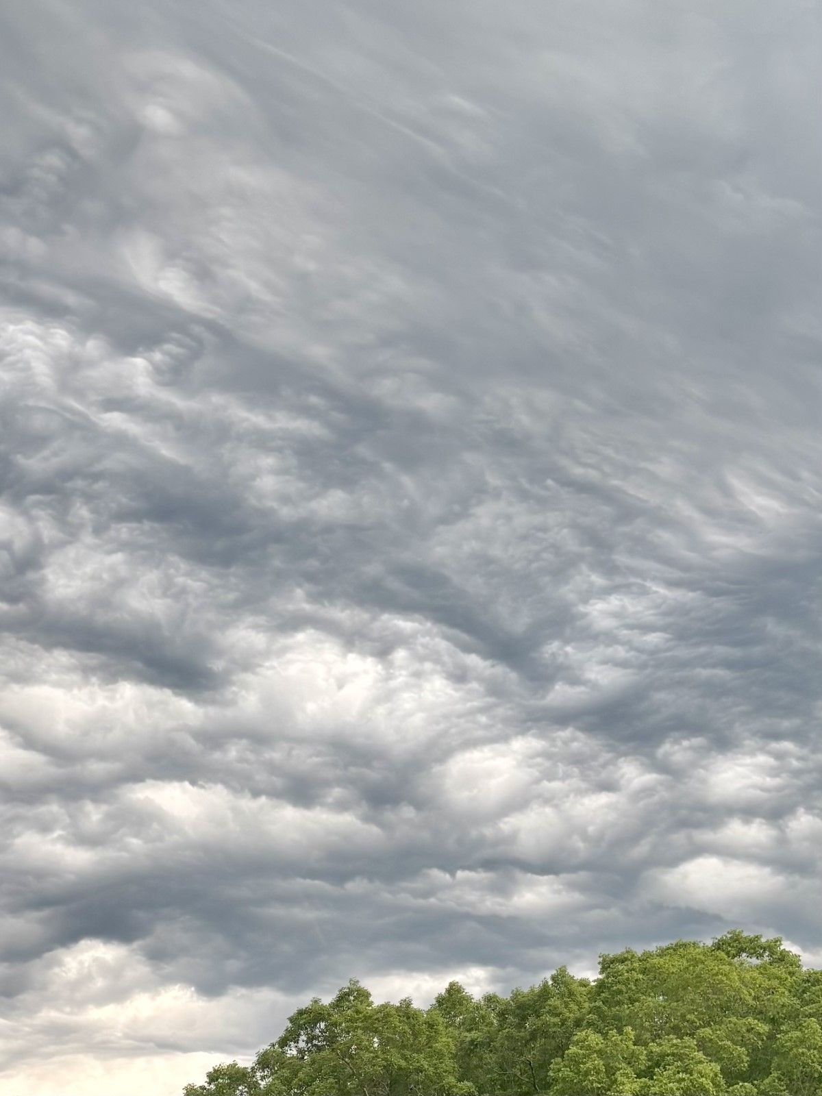 Ask the Meteorologist: What are those interesting clouds in the sky ...