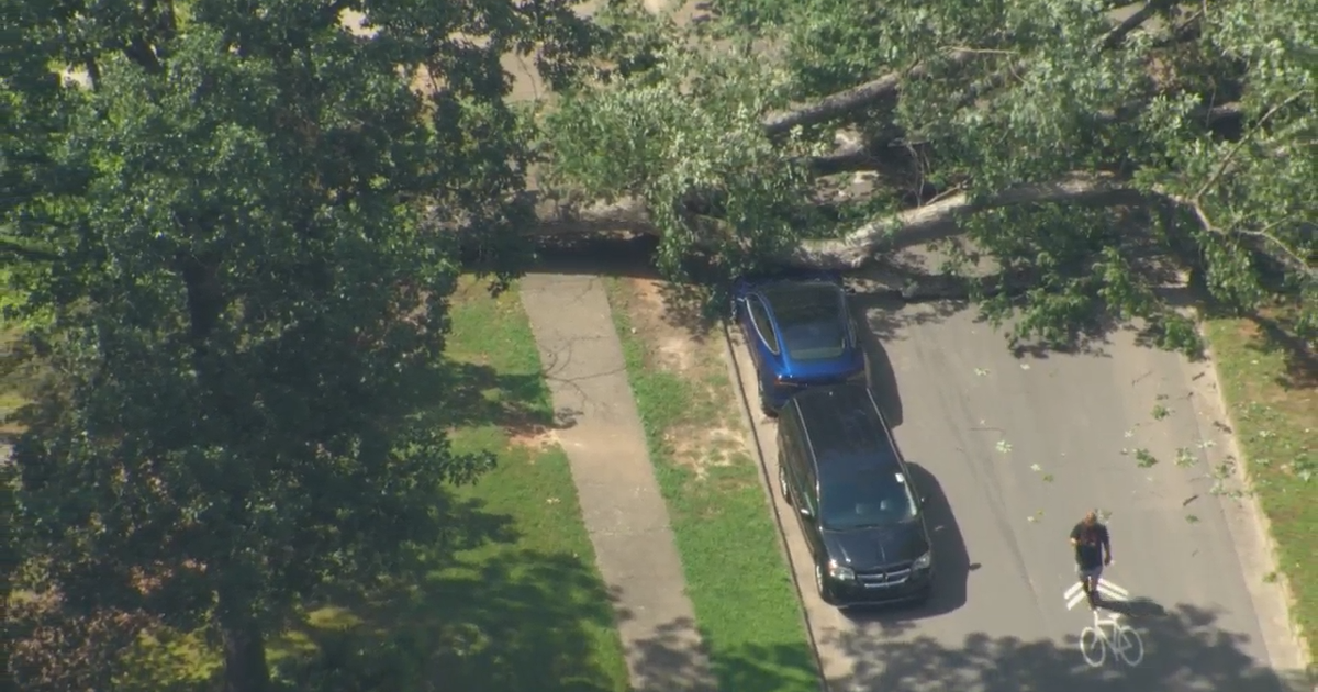 Tree falls, crushes Tesla in north Raleigh neighborhood :: WRAL.com