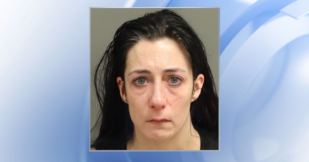 Raleigh paralegal charged with drug possession, accused of smuggling ...