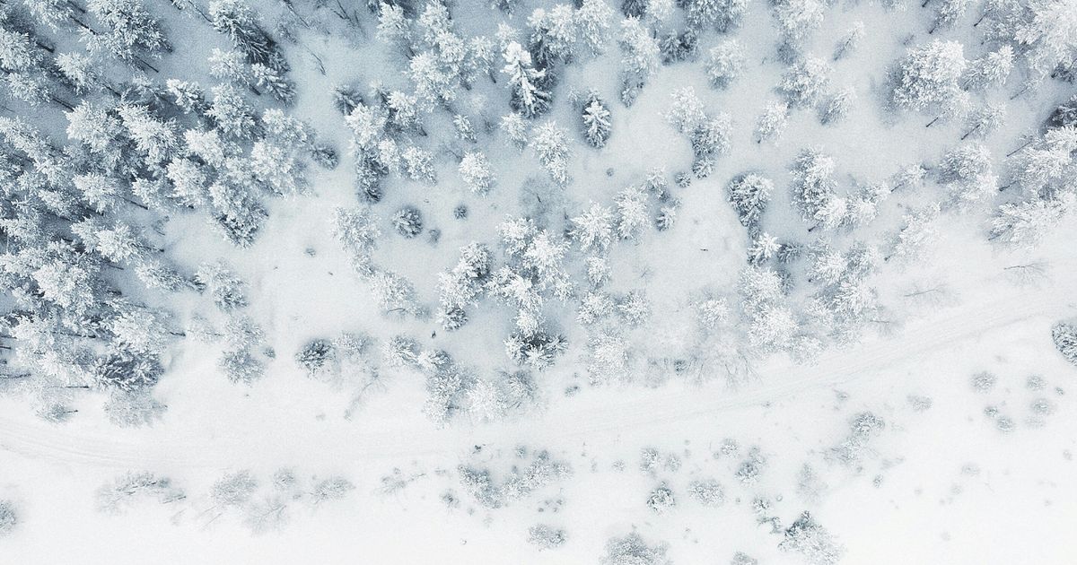 Snowmageddons in the south: North Carolina's top 20 historic snowstorms ...